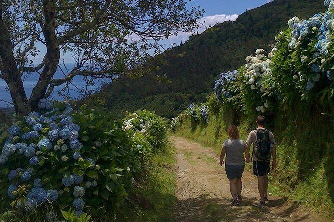 Lagoa do Fogo Trail Full-Day Walking Tour with Lunch - Why This Tour Offers Great Value