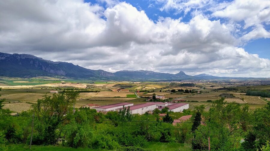 Laguardia hilltop village rising above the Rioja vineyards