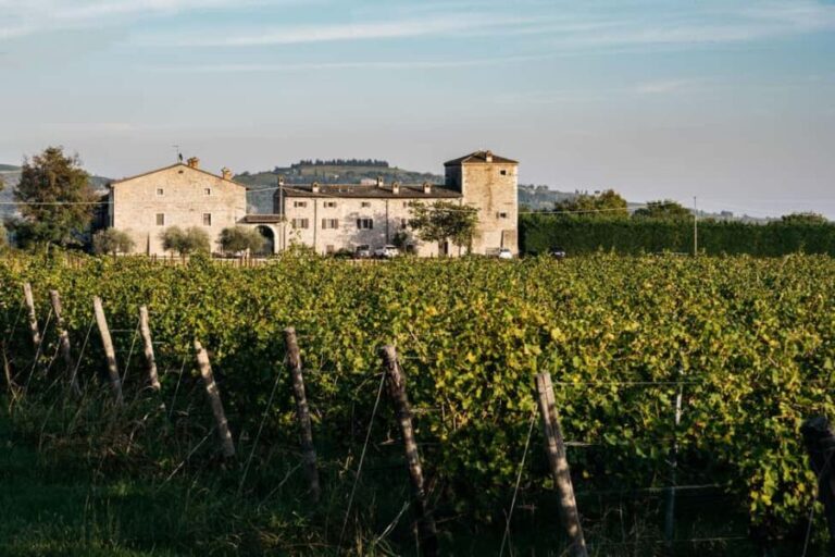 LAKE GARDA: VINEYARD AND WINERY TOUR - Practical Aspects and What to Keep in Mind