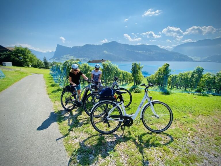 Lake Lucerne Peninsula e-bike Tour - Is This Tour for You?