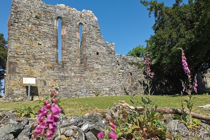Lakes of Killarney and Innisfallen Island Tour - Why This Tour is a Great Choice