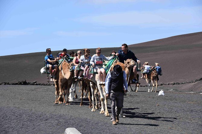Lanzarote South Tour with Timanfaya Entrance - Who Is This Tour Best For?