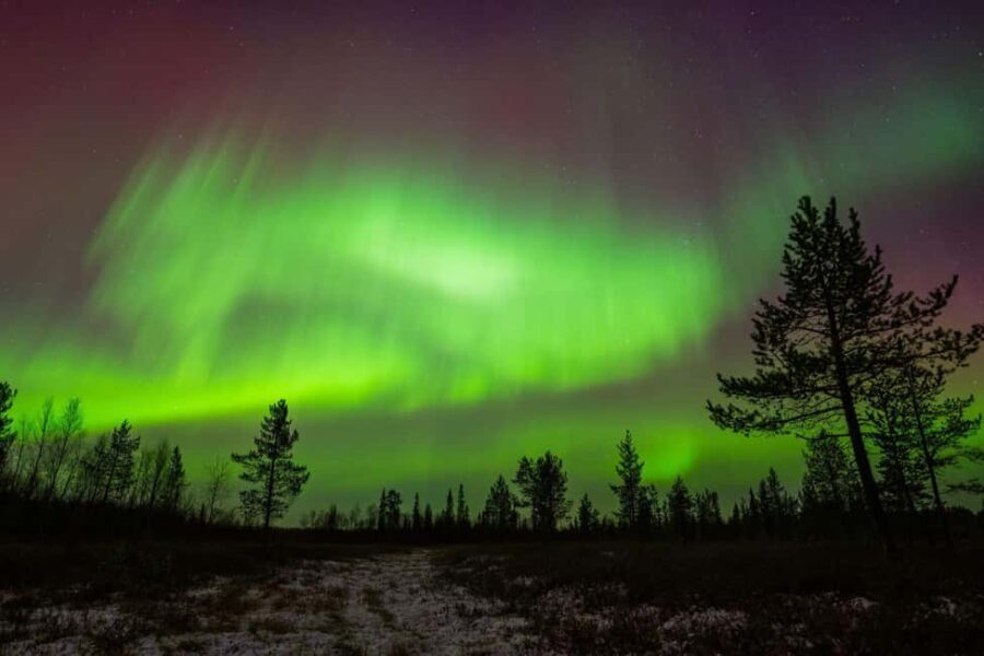 Lapland: Aurora Hunting by Minivan with Guide and Transport - What to Expect in Terms of Comfort and Practicality