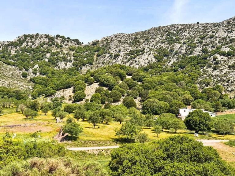 Lasithi Jeep Safari: Mountains, Monastery & Cretan Crafts - Detailed Itinerary Breakdown