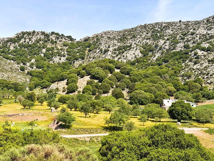 Lasithi Jeep Safari: Mountains, Monastery & Cretan Crafts - Detailed Itinerary Breakdown