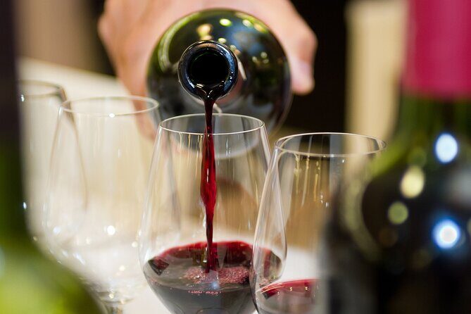 Latvian Wine Adventure: Discovering the Best of Baltic Wines - Who Will Love This Tour?