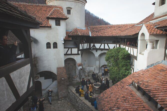 Legends&Wildlife Awaits: Dracula's Castle & Bear Sanctuary - What’s Included and What’s Not