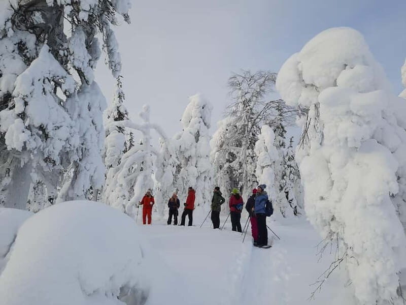Levi: Evening Snowshoe Walk Under Northern Sky - What the Snowshoeing Experience Looks Like