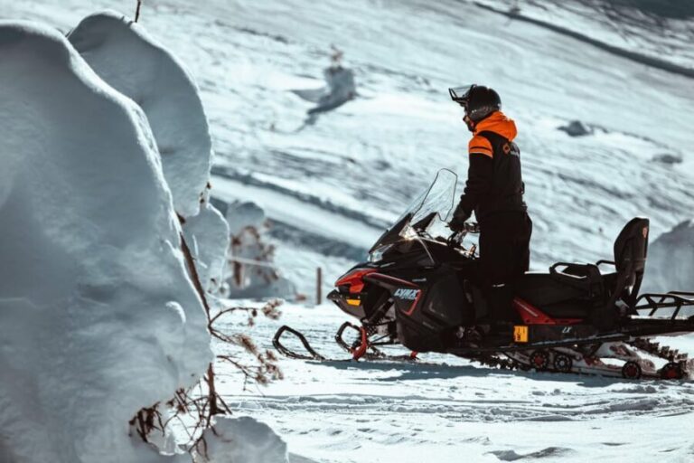 Levi: Full Day Snowmobile Safari to Wilderness - Who Would Love This Tour?