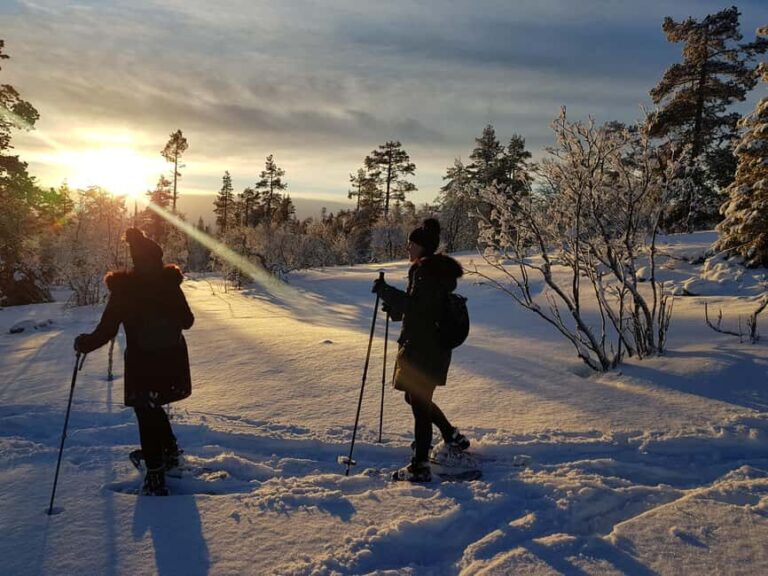 Levi: Gentle Snowshoe Walk in Winter Wilderness - Practical Details and Why They Matter