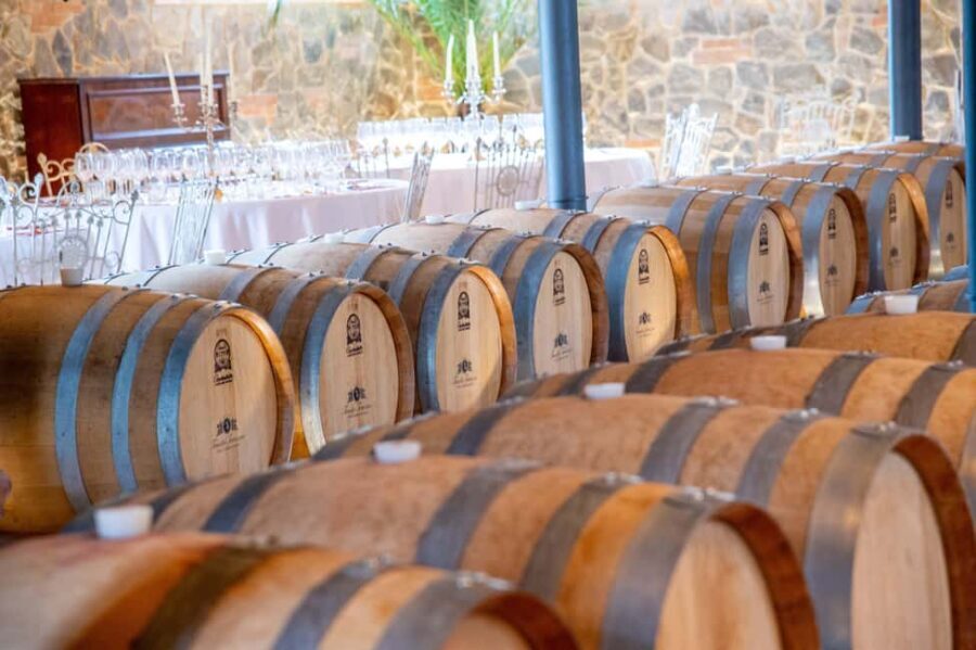 Light Lunch with Wine Tasting - Exploring the Experience in Detail