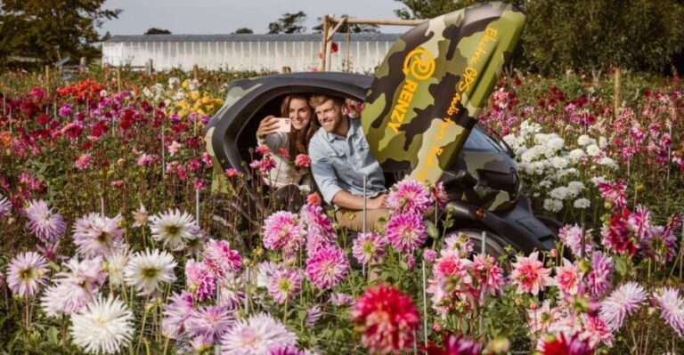 Lisse: Drive-it-Yourself Summer Flower GPS Audio Tour - Exploring South Holland’s Flower Region in a Compact Electric Car