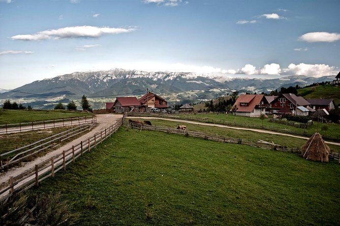 Local experience from Brasov - Transylvanian villages and Bran Castle - The Real Value of This Tour
