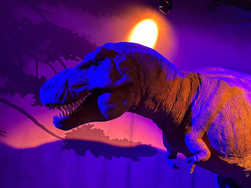 London: Natural History Museum Private Guided Tour - What’s Included and What You Should Budget For