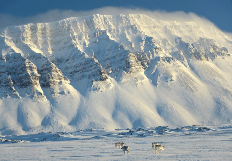 Longyearbyen: Snowmobile Tour to Tempelfjorden with Lunch - Who Will Enjoy This Tour?