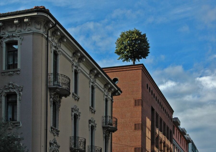 Lugano: Capture the most Photogenic Spots with a Local - The Value of Personalised, Local-Guided Tours