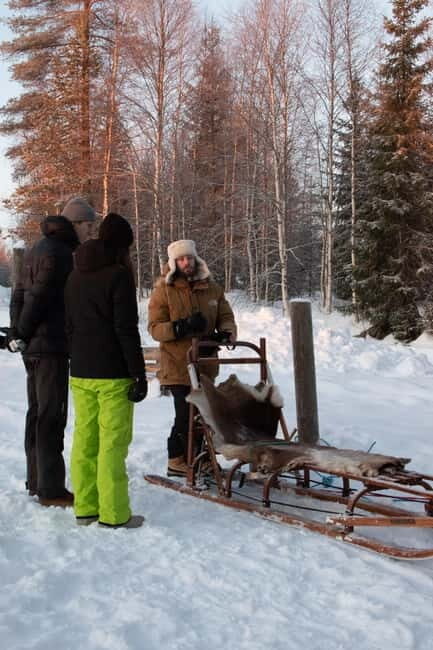 Luleå: Drive your own Husky team, 10km - FAQs