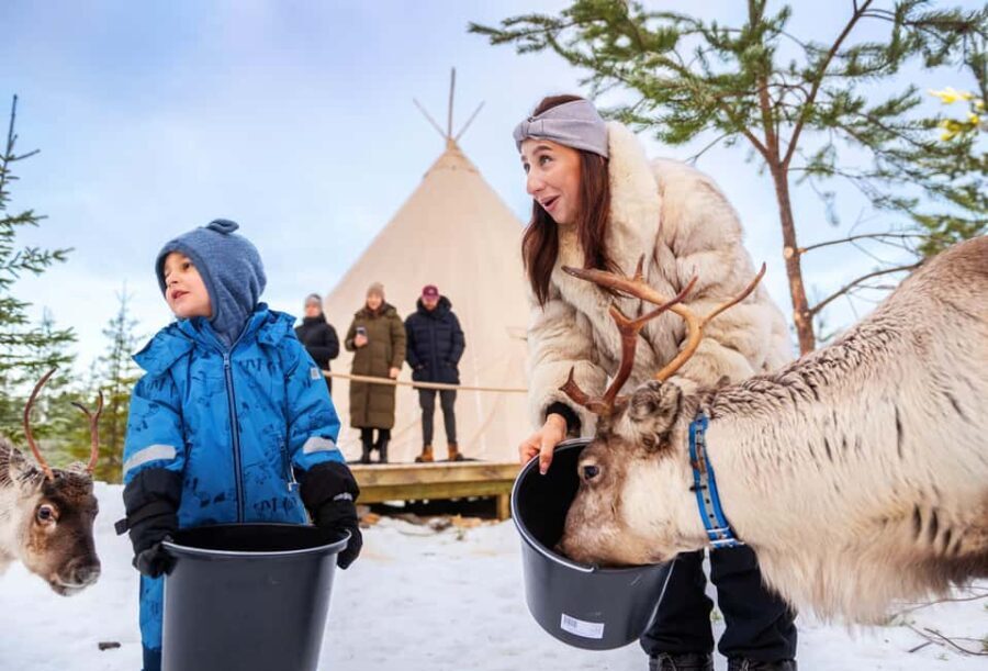 Luleå: Meet the Reindeer, Sámi Flavors & Stories by the Fire - Why You Should Consider This Tour