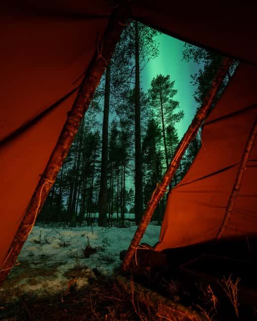 Luleå: Sami Culture, Reindeer, and Northern Lights Tour - The Value of the Experience