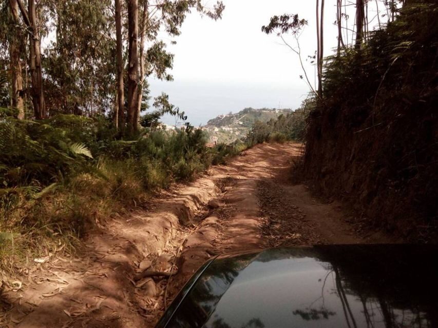 Madeira 2 Full-Day & 1 Half-Day 4x4 jipe Special Tour Combo - Final Thoughts