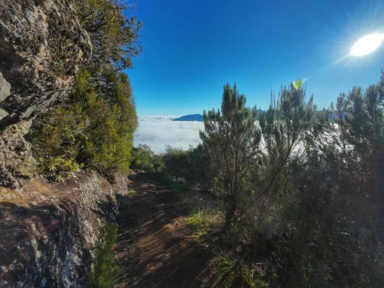 Madeira: Bica da Cana to Encumeada Guided Hike with Pickup - Why This Tour Offers Excellent Value