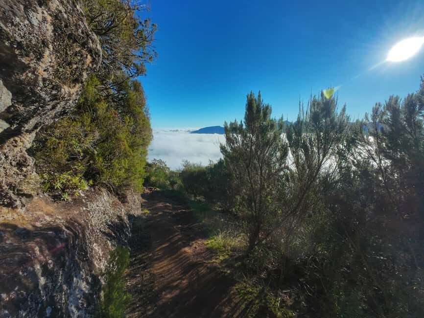 Madeira: Bica da Cana to Encumeada Guided Hike with Pickup - Why This Tour Offers Excellent Value