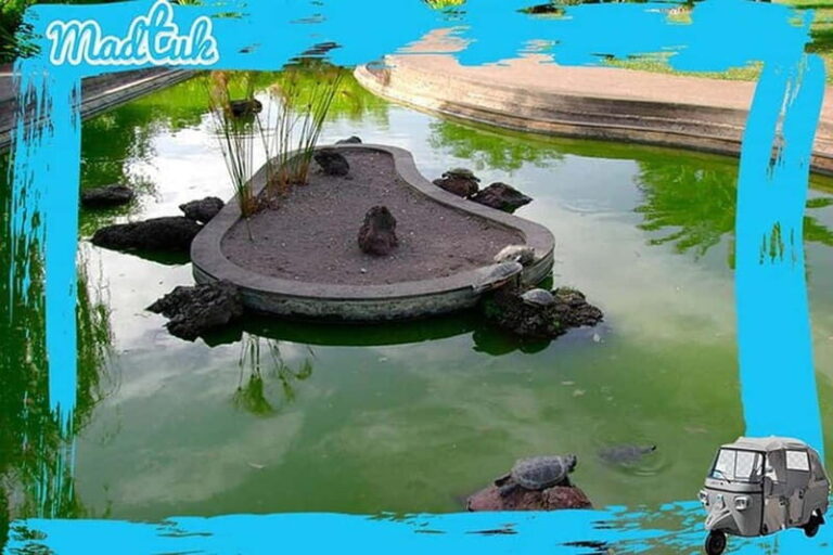 Madeira: Botanical Gardens + Old Town Tuk-Tuk Tour by MadTuk - Who Is This Tour Best For?
