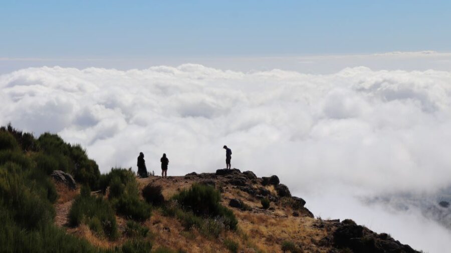 Madeira: Full Day Private Jeep Tour East or West - The Sum Up: The Best of Madeira in One Day
