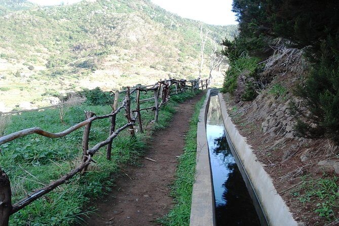 Madeira: Half-Day Private Walking Tour to Levada do Caniçal and Machico - Deep Dive into the Experience: What You Can Expect
