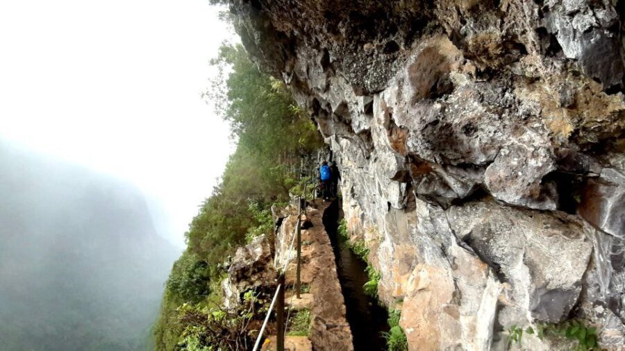 Madeira: Jungle Fever Levada Caldeirao Verde Hike Santana - What’s Included and What to Keep in Mind