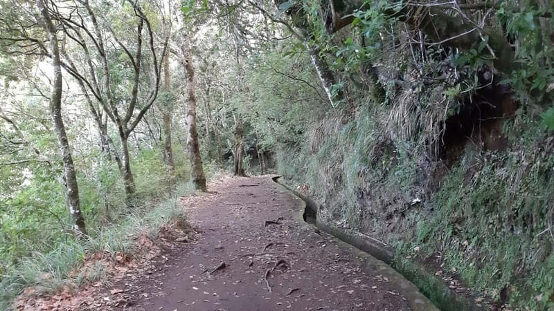 Madeira: Private 1.5-Kilometer Levada dos Balcões Hike PR11 - What’s Included & What to Prepare