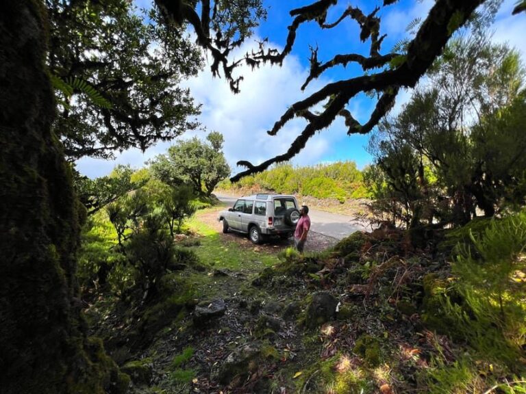 Madeira private 4x4 tour: North-West Coast - Detailed Itinerary Breakdown