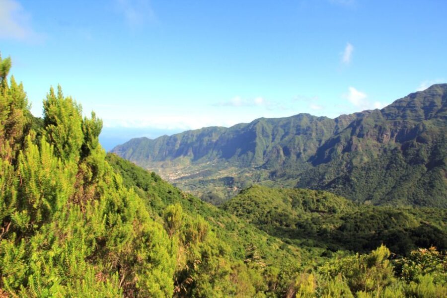 Madeira: Wine Safari Jeep Tour with Local Guide - What You’ll Love About This Tour