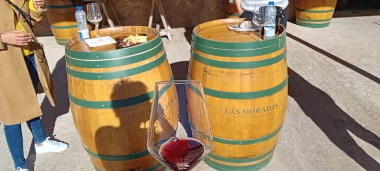 Madrid Winery Tour: Visit & Tasting With Sommelier Guide - What We Loved About the Tour