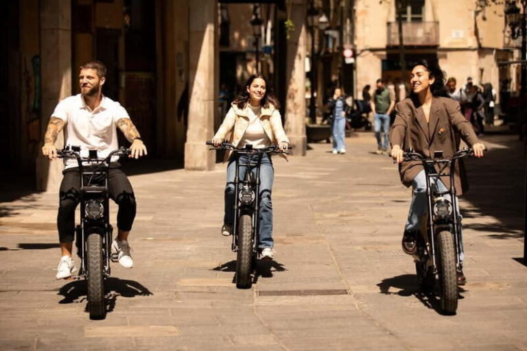Malaga: Guided E-Fatbike Tour with Panoramic Views - Itinerary Breakdown: From City Highlights to Scenic Views