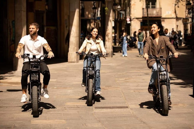 Malaga: Guided E-Fatbike Tour with Panoramic Views - Itinerary Breakdown: From City Highlights to Scenic Views