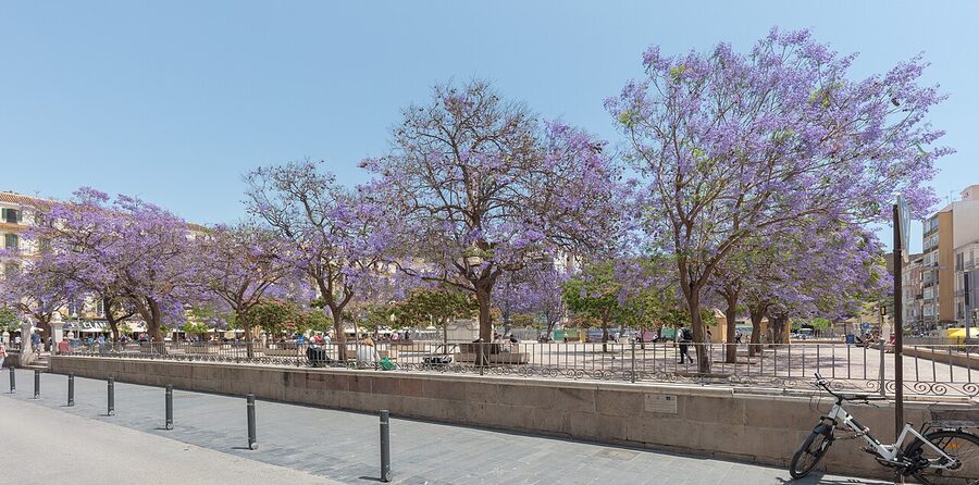 Plaza de la Merced in Málaga with the Torrijos monument