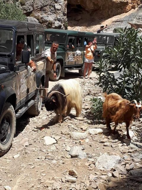 MALIA: East Crete Famous Places (Family and Child Friendly) - Who Will Love This Tour?