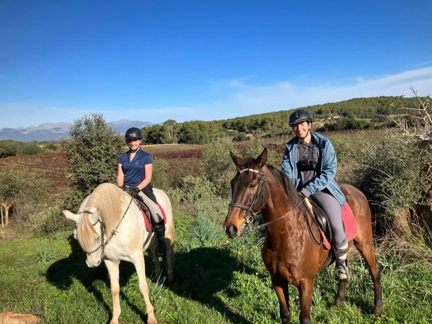 Mallorca: Authentic Horseback Ride in Rural Mallorca - The Horses and the Guides