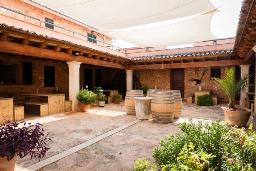 Mallorca: Bodegas Ángel Winery Tour with Wine Tasting - Who Should Consider This Tour?