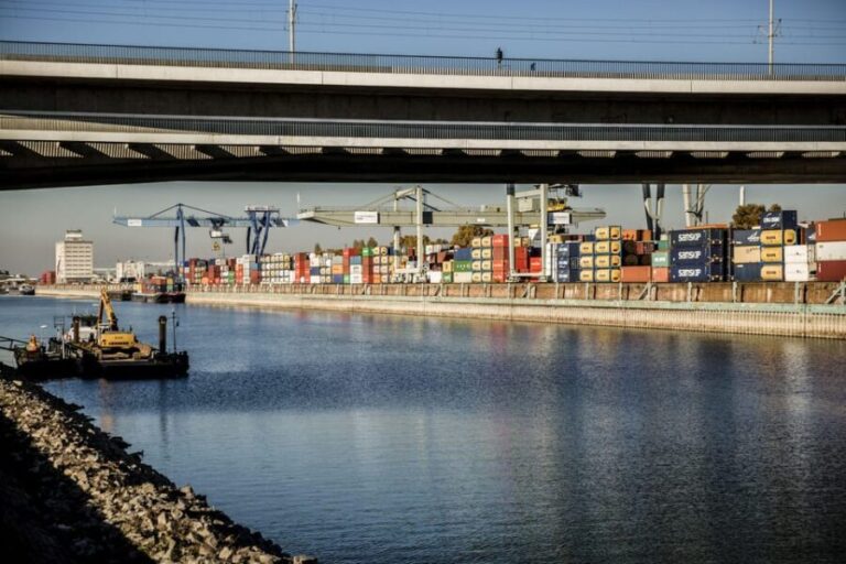 Mannheim, guided walking tour: Industrial culture at the commercial port - The Jungbusch District: From Working-Class to Trendy