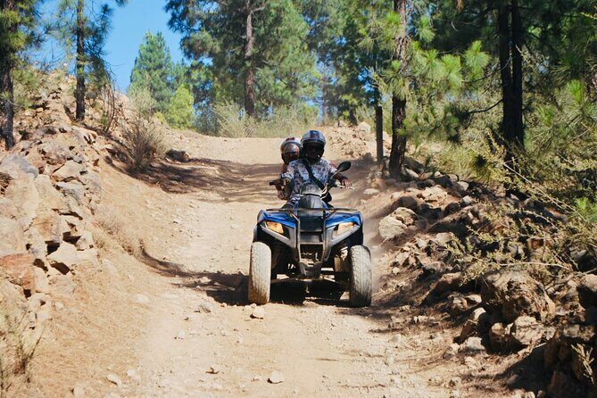 Masca Valley Guided Buggy Tour. Small Group. - The Itinerary Breakdown: What to Expect