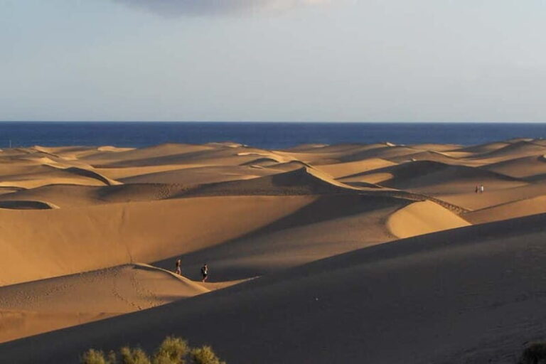 Maspalomas: 1 Hour Segway Sightseeing Tour - Who Will Love This Tour?