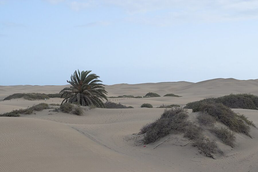 Maspalomas dunes on a nearly cloudless evening with shadows lengthening