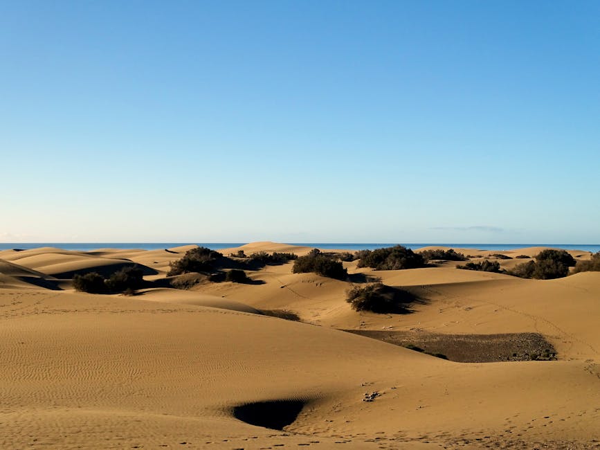 Maspalomas dunes meeting the sea coast in Gran Canaria