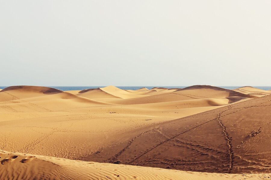 Maspalomas dunes with footprints leading off into wilderness