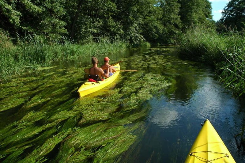 Masurian Lake District: Canoe and Sailing Tour from Warsaw - A Closer Look at the Itinerary
