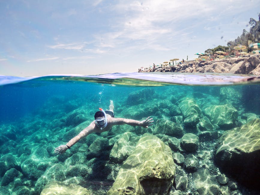Snorkeler exploring the rocky Mediterranean coast