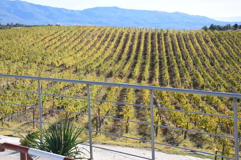 Melnik Wine Tour - Practical Details: What Matters Most