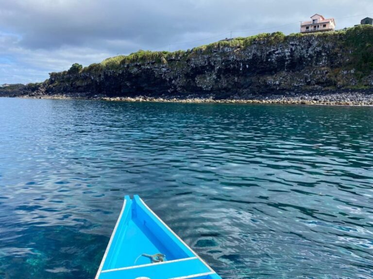 Memória Baleeira - Unforgetable Ride in the waters of Pico - What’s Included and How It Adds to the Experience